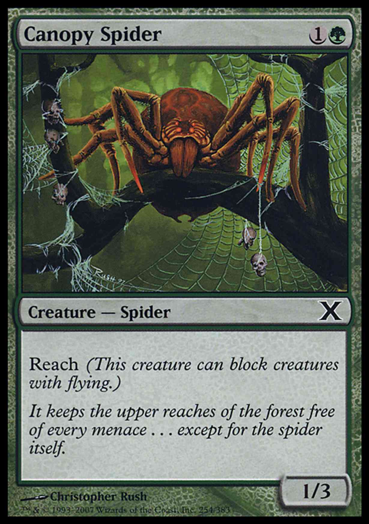 Canopy Spider Price from mtg Tenth Edition