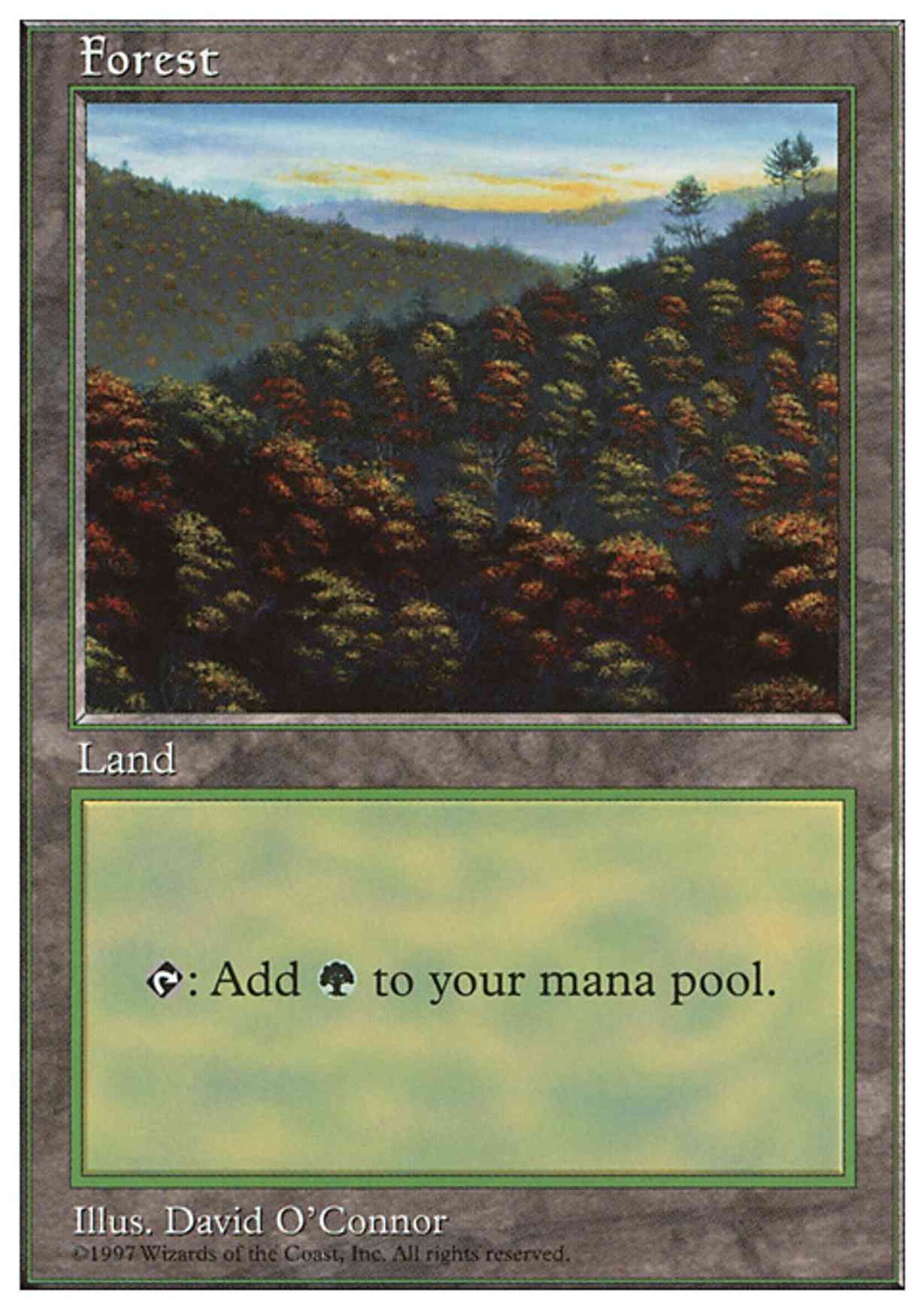 Forest (448) Price from mtg Fifth Edition