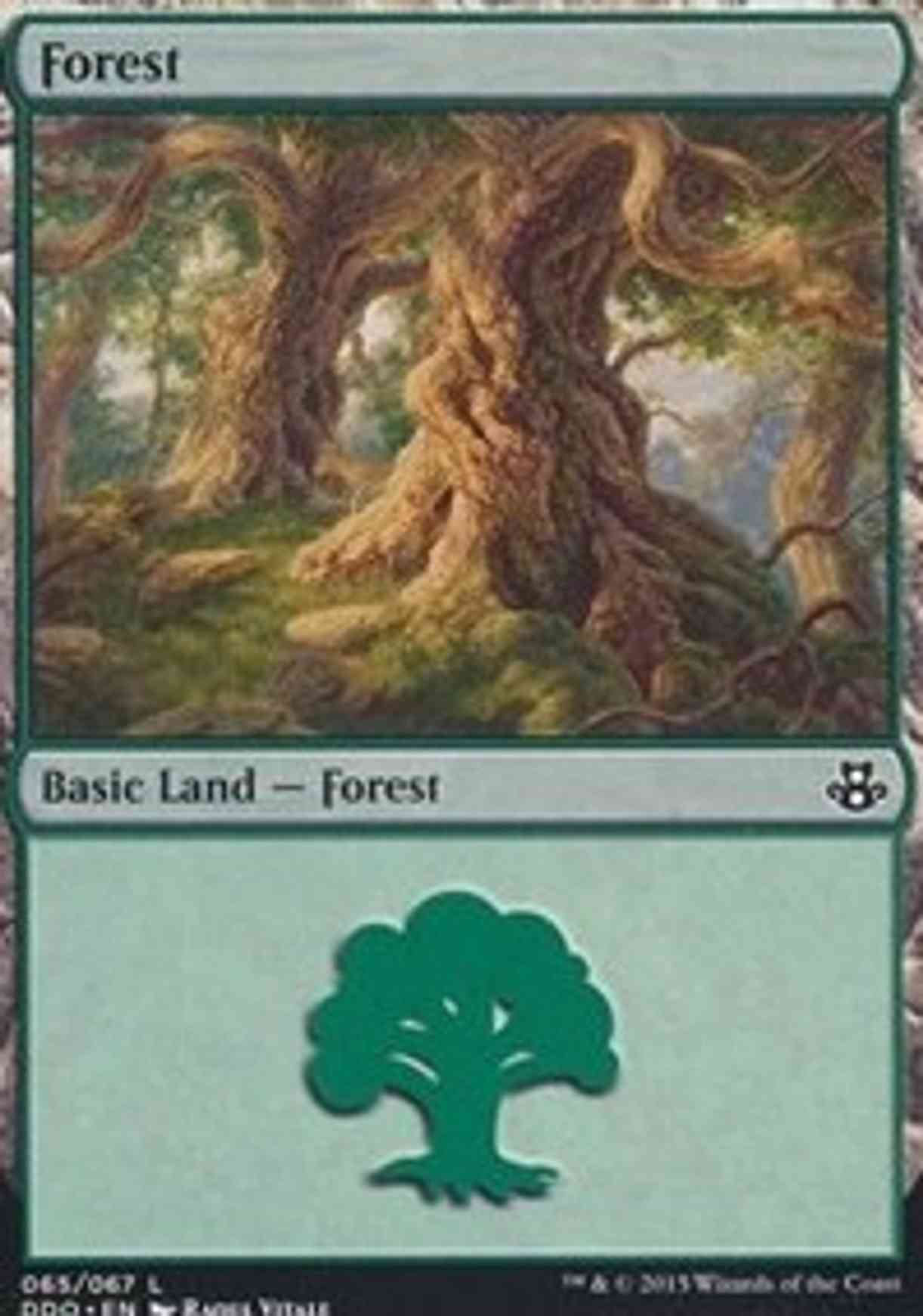 Forest (65) Price from mtg Duel Decks: Elspeth vs. Kiora